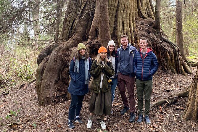 Ancient Trees of Vancouver Walking Tour - An In-Depth Look at the Experience
