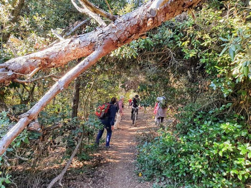 Ancona Riviera del Conero: Hiking Tour - FAQs