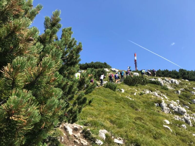 Andalo: Trekking Tour to Canfedin Peak - Transportation, Timing, and Group Experience