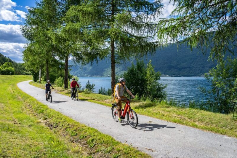 Andalsnes: Bike & Hike Adventure to Litlefjellet Summit - A Closer Look at the Experience