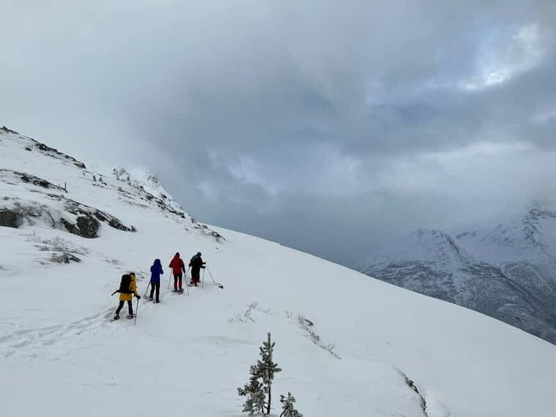 Åndalsnes: Nesaksla Snowshoeing Tour with Gondola Ticket - Key Points