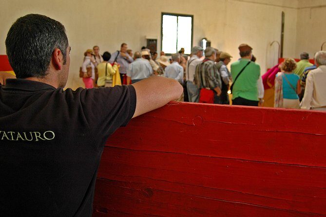 Andalucia Bull and Horse Farm and Ronda Private Tour from Malaga - A Closer Look at What You’ll Experience