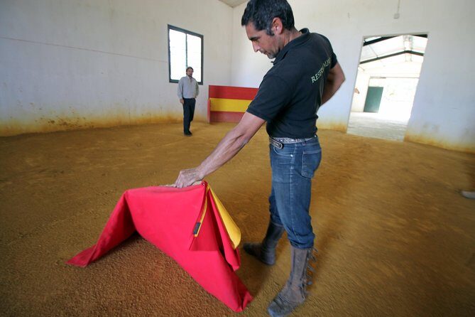 Andalucia Bull and Horse Farm and Ronda Private Tour from Malaga - The Bottom Line: Is This Tour Worth It?