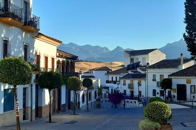 Andalucia by Sunset - half day tour including dinner and Ronda pickup - Why This Tour Works for Travelers