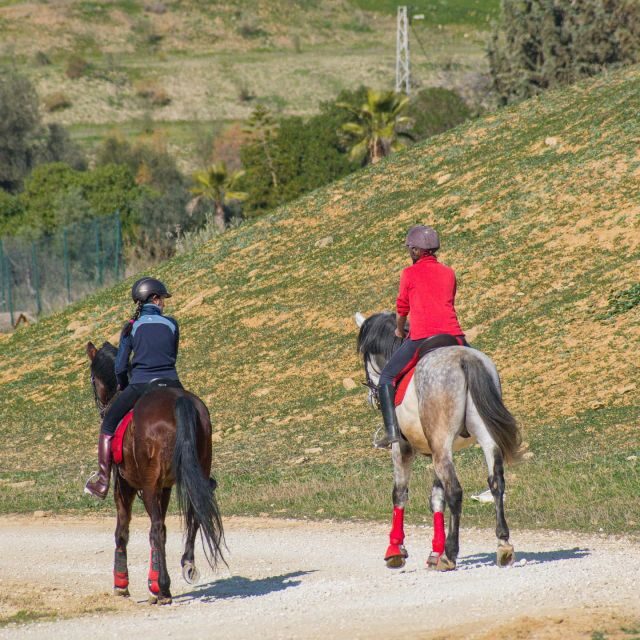 Andalucia: Horse Riding Tour with Picnic - Exploring the Andalucia Horse Riding Tour with Picnic: An Authentic Slice of Spain
