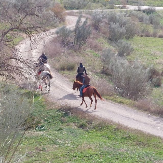 Andalucia: Horse Riding Tour with Picnic - What’s Included and What to Expect