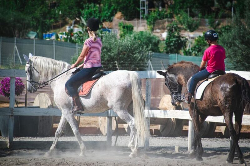 Andalucia: Horse Riding Tour with Picnic - Why This Tour Is a Great Value