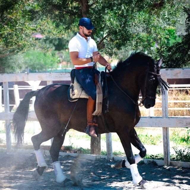 Andalucia: Horse Riding Tour with Picnic - Practicalities and Tips for Travelers