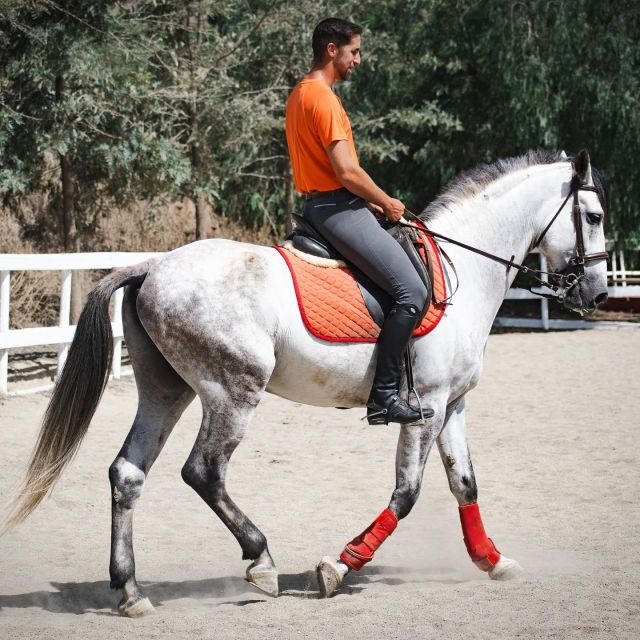 Andalucia: Horse Riding Tour with Picnic - Final Thoughts