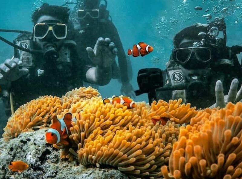 Andaman Adventure with Scuba Diving - 3 Nights 4 Days - An Introduction to the Tour