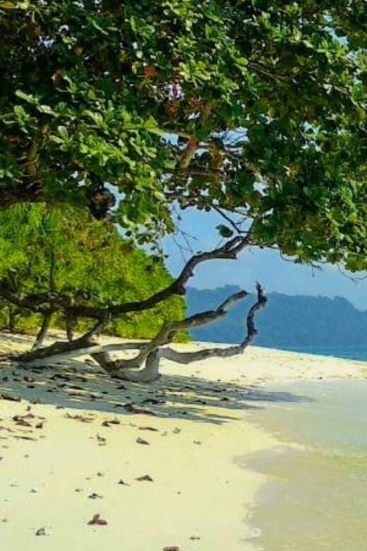 Andaman Adventure with Scuba Diving - 3 Nights 4 Days - The Sum Up