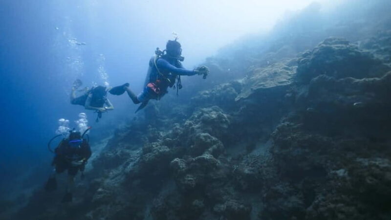Andaman: Havelock Scuba Diving by PADI 5-Star Dive Center - An In-Depth Look at the Experience