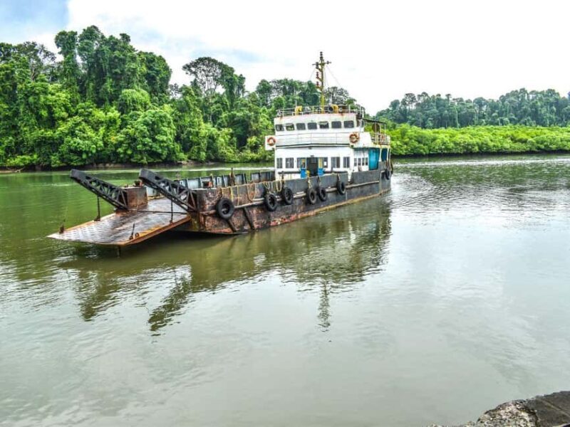 Andaman Island: Day Tour to Baratang Island - What to Expect on the Tour