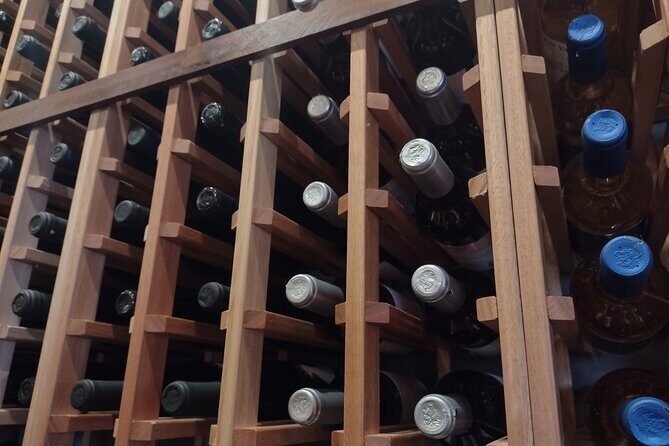 Andie's NON BUS 4-winery Traverse Leelanau Peninsula Wine Tour - Who Will Love This Tour