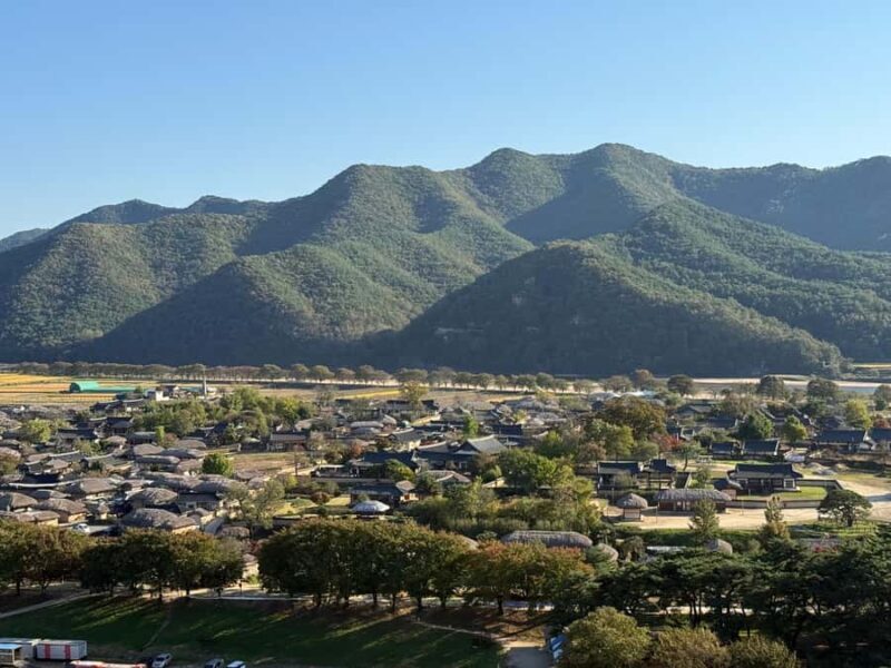 Andong: 1 Day Visiting UNESCO Sites by Korean Local Guide - What Makes This Tour Special?