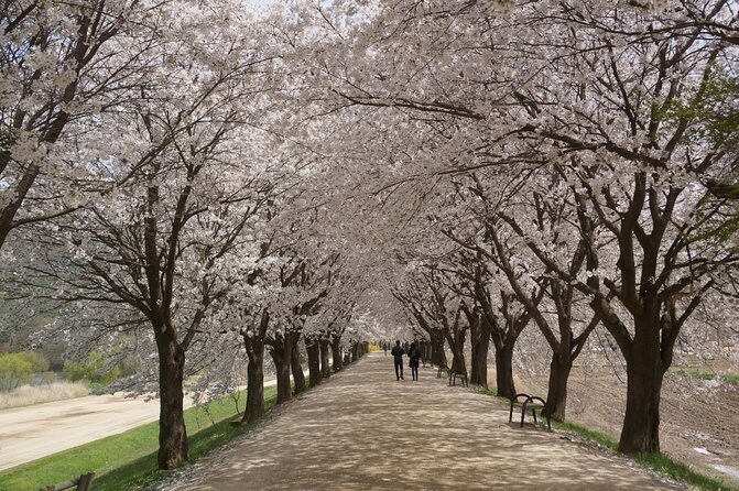 Andong Hahoe Folk Village [UNESCO World Heritage] Private Tour from Seoul - Practical Details and Considerations