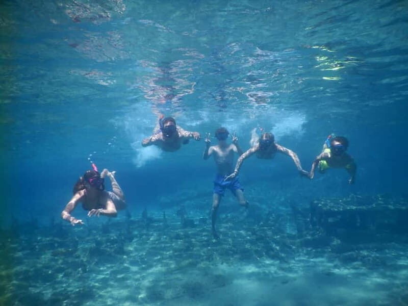 Andros: 4-hour RIB Cruise with Food and Drinks - Who Is This Tour Best For?