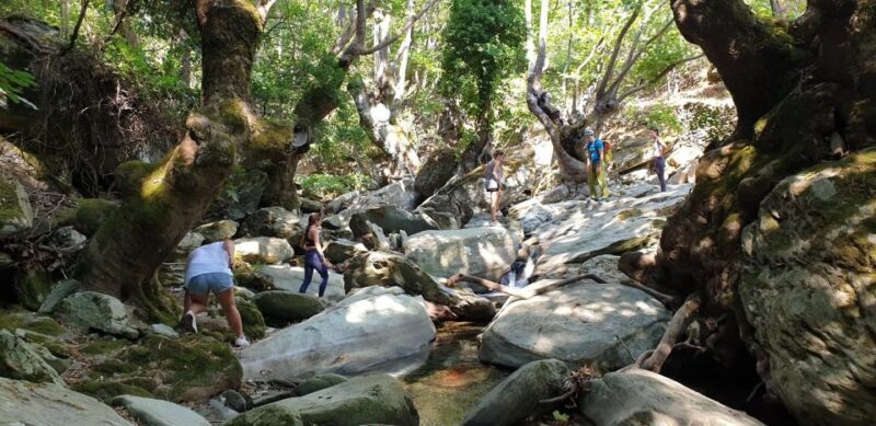 Andros: Achla River Trekking to the Waterfall - A Closer Look at the Experience