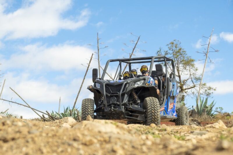 Anfi beach: Guided Buggy Tour. - Key Points