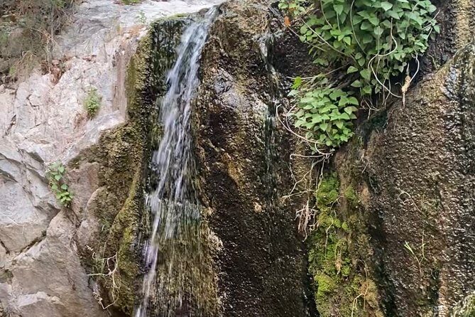 Angeles Forest Waterfall Hiking Tour - Return and Reflection