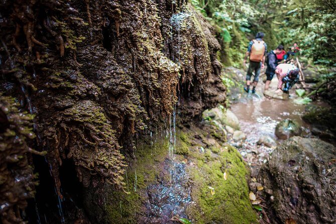 Angelic Stream Trekking (departure with 4 people) - The Cost and Overall Value