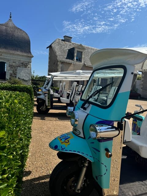 Angers: Street Art ride in an electric Tuk Tuk - Who Should Consider This Tour?