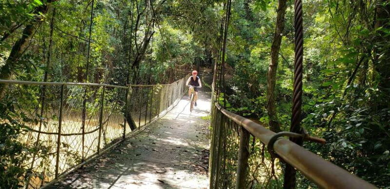 Angkor Jungle Biking Adventure Private Cycling Tour - Key Points