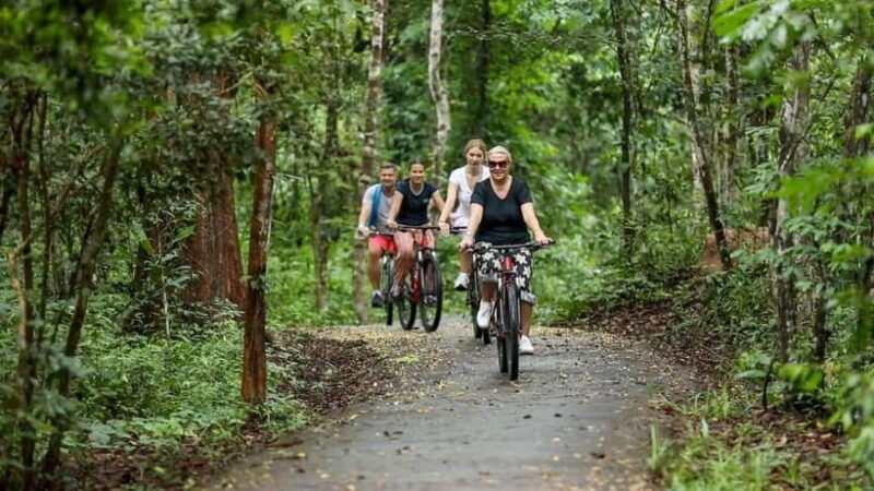 Angkor Jungle Biking Adventure Private Cycling Tour - A Deep Dive into the Jungle Cycling Adventure
