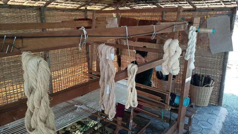 Angkor Silk Farm & Lotus Silk Farm: Siem Reap Discovery Tour - Transportation & Group Size