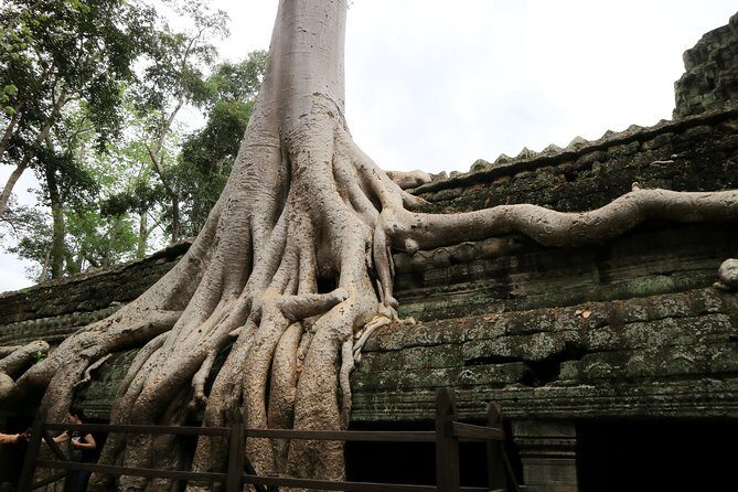 Angkor Temples Private Full-Day Tour from Siem Reap (Free Child) - Final Thoughts