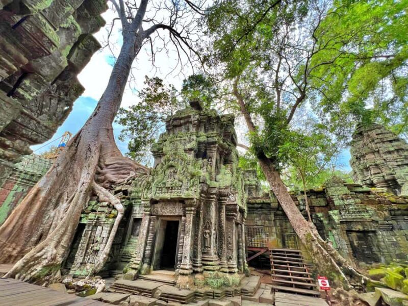 Angkor: The Jungle Temple tour by Vintage Jeep - A Deeper Look at the Jungle Temple Tour
