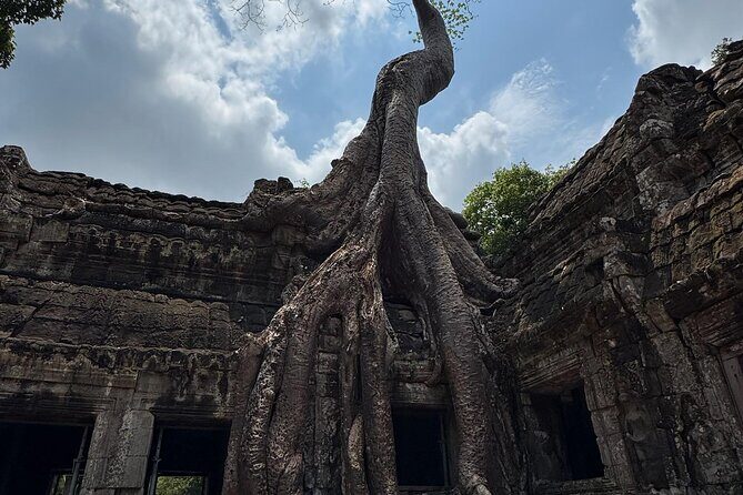 Angkor Wat 1-Day Exploration by Remok or Tuk Tuk - FAQ