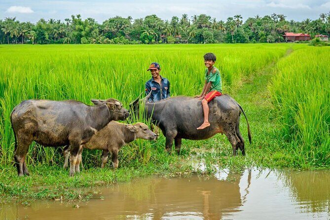 Angkor Wat -2Days Tour Package in Siem Reap, Cambodia - Discovering the Temples and Beyond in Siem Reap