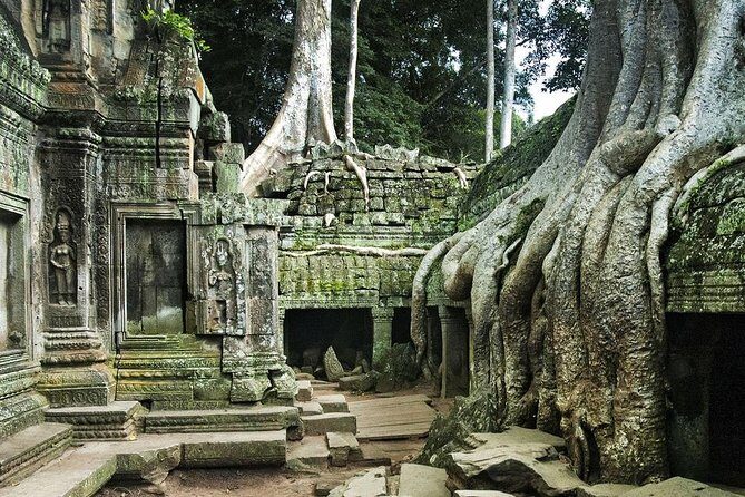 Angkor Wat, Angkor Thom Ancient Capital, Ta Promh Temple - The Experience in Action: What Travelers Are Saying