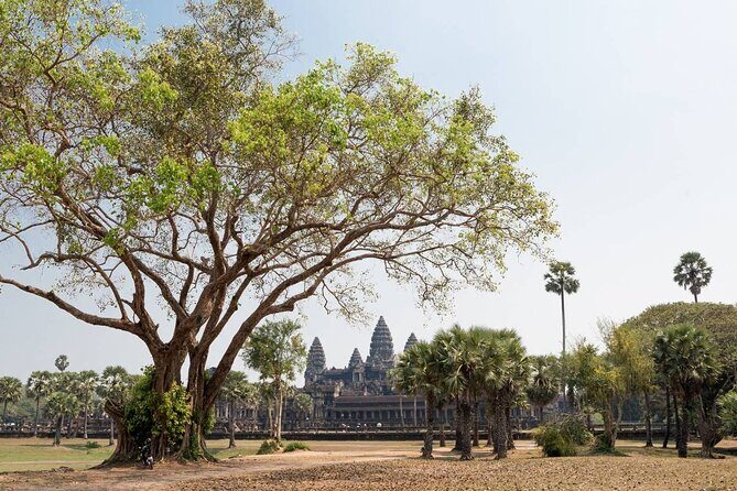 Angkor Wat, Angkor Thom & Elephant Terrace Half-Day Tours - Frequently Asked Questions (FAQs)