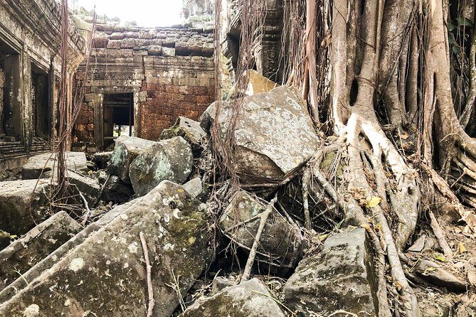 Angkor Wat Cycling Tour - Who Should Consider This Tour?