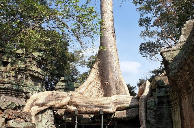 Angkor Wat Full Day Tour in Siem Reap Small-Group - Authentic Experiences and Genuine Highlights