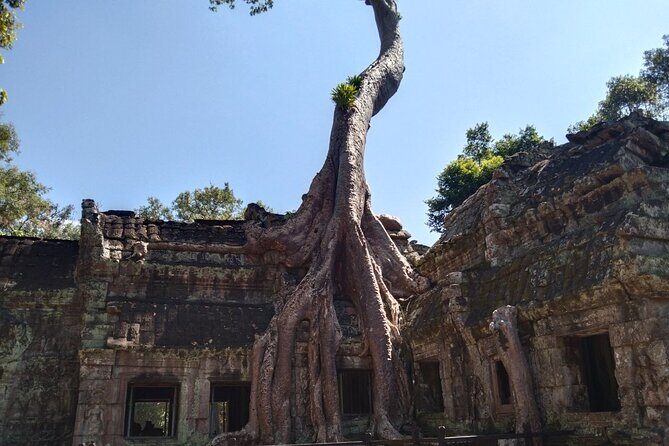 Angkor Wat Fullday Small group tour - An In-depth Look at the Itinerary