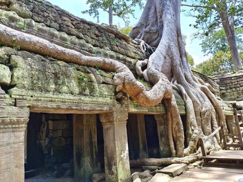 Angkor Wat: Highlights and Sunrise with Spanish Guide - Transportation, Group Size, and Overall Comfort