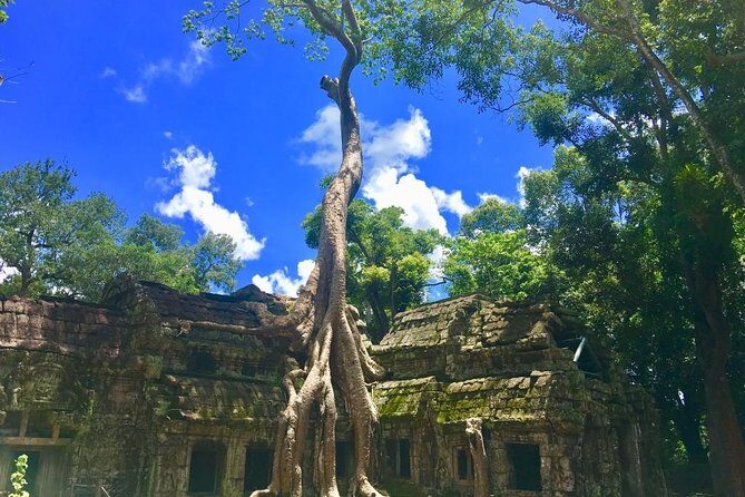 Angkor Wat one Day Private Tour for All Highlight Angkor Temples - Transportation & Comfort