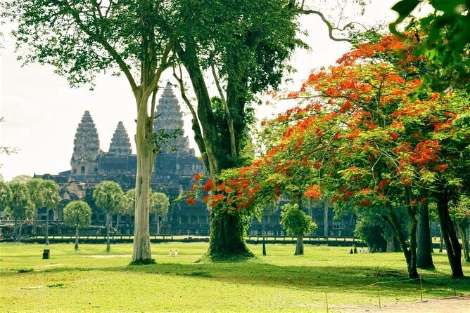 Angkor Wat one Day Private Tour for All Highlight Angkor Temples - Reviews & Authentic Perspectives