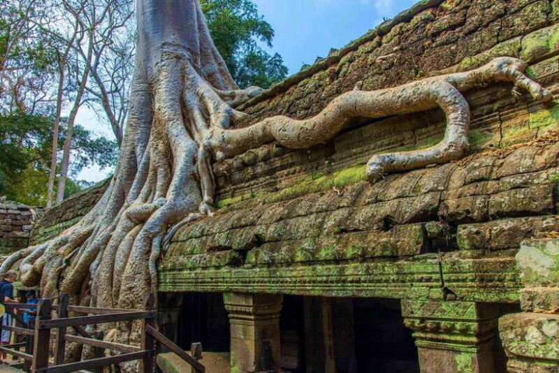 Angkor Wat one Day Private Tour for All Highlight Temples - Introduction: Your Gateway to the Wonders of Angkor