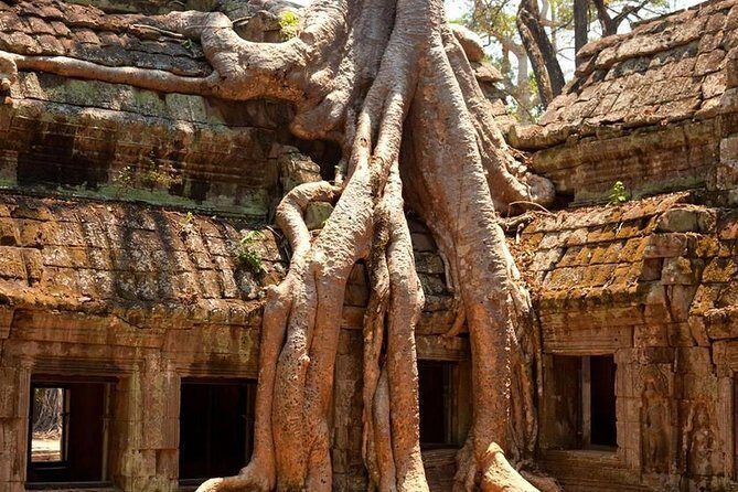 Angkor Wat Private Day Tour - Who Should Take This Tour?