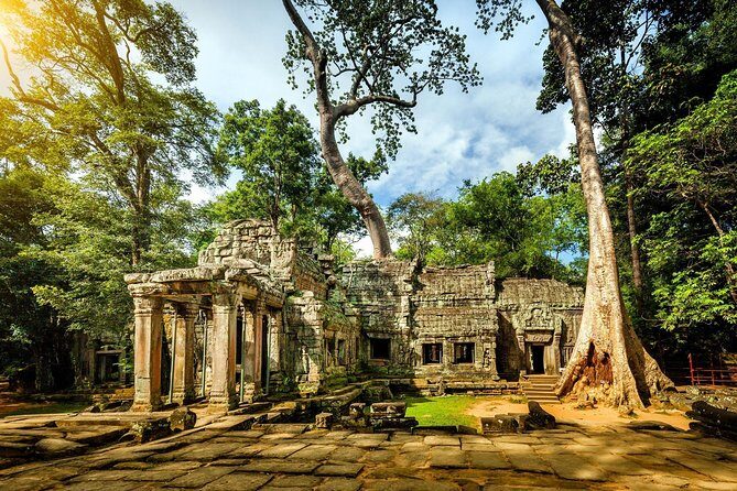Angkor Wat Private Day Tour from Siem Reap - The Jungle Overrun: Ta Prohm
