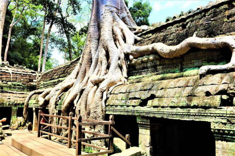 Angkor Wat: Private Sunrise Tour with Champagne Breakfast - Practical Details and What They Mean for You