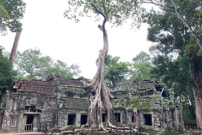 Angkor Wat Small Circuit & Sunset Tour - Who Is This Tour Best For?