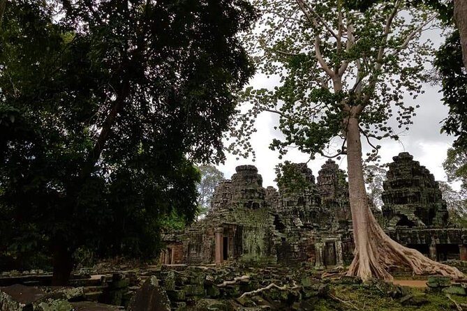 Angkor Wat Small Circuit Tour - Authentic Insights from Fellow Travelers