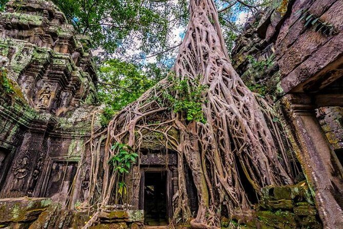 Angkor wat & Small group Tours with Japanese Guide - A Closer Look at the Tour Experience