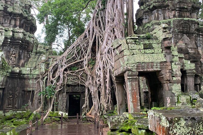 Angkor Wat Sunrise and Angkor Thom Sunset Tour - The Real Value of This Tour