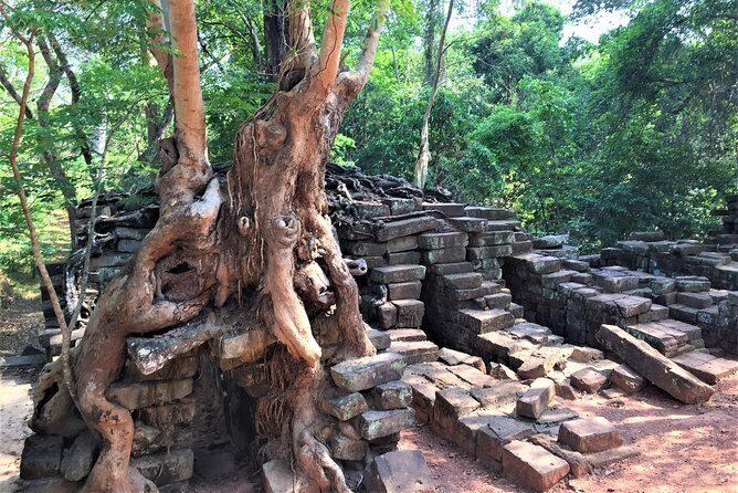 Angkor Wat Sunrise Half Day by Join-in Tour - Who Should Consider This Tour?